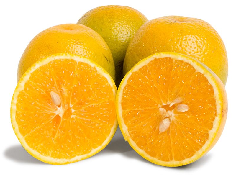 Lagazzi Agronegócios